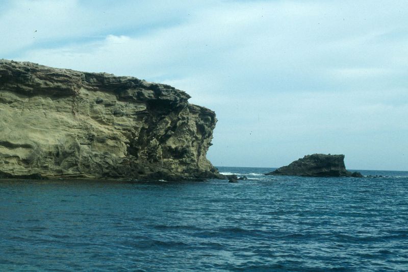 El Nieto del Espartero: Isla de Alboran.-Patrimonio Natural.