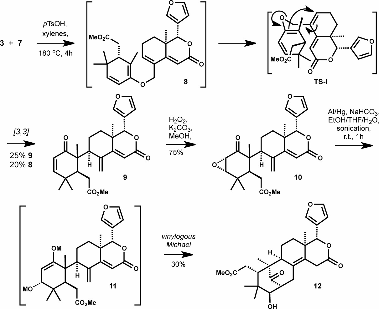 modern steroid science: Limonoids: Total Synthesis of the Mexicanolides