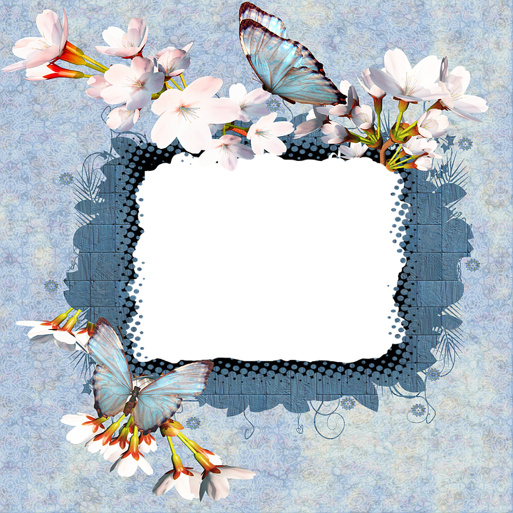 ForgetMeNot: spring frames