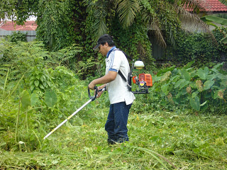 SERVIS MEMOTONG RUMPUT : PERKHIDMATAN MESIN RUMPUT