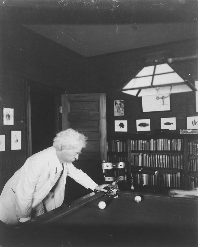 Rare Photographs of Mark Twain and His Beloved Cats From the 1900s ...
