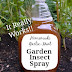 Homemade Garlic-Mint Garden Insect Spray - garden favorite