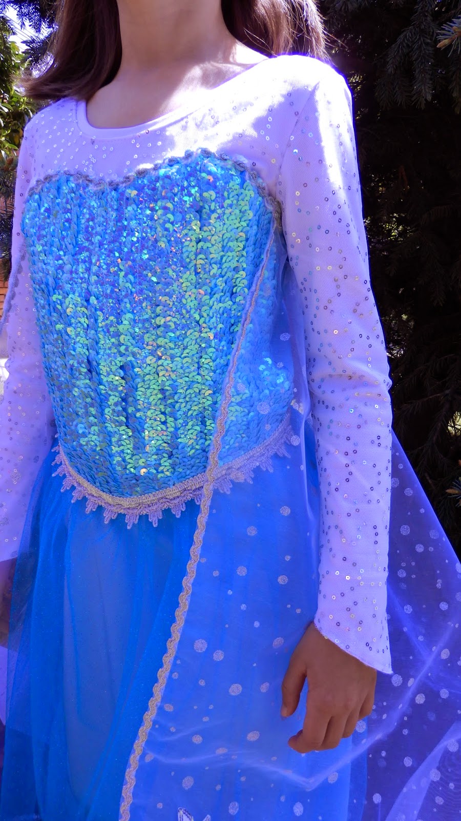 Princezina Haljina: Elsa Frozen