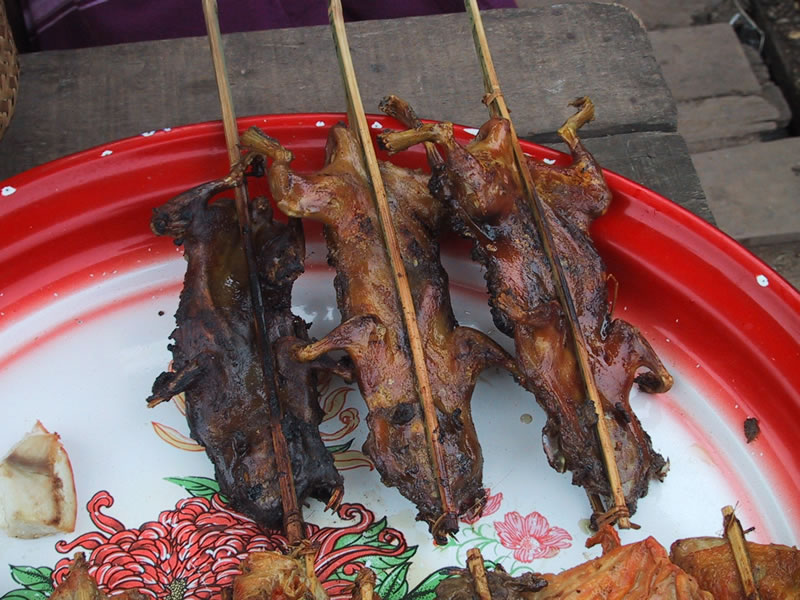 Menú exótico | en2patas