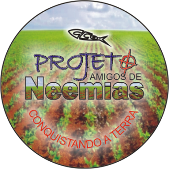 PROJETO AMIGOS DE NEEMIAS: Projeto Amigos de Neemias