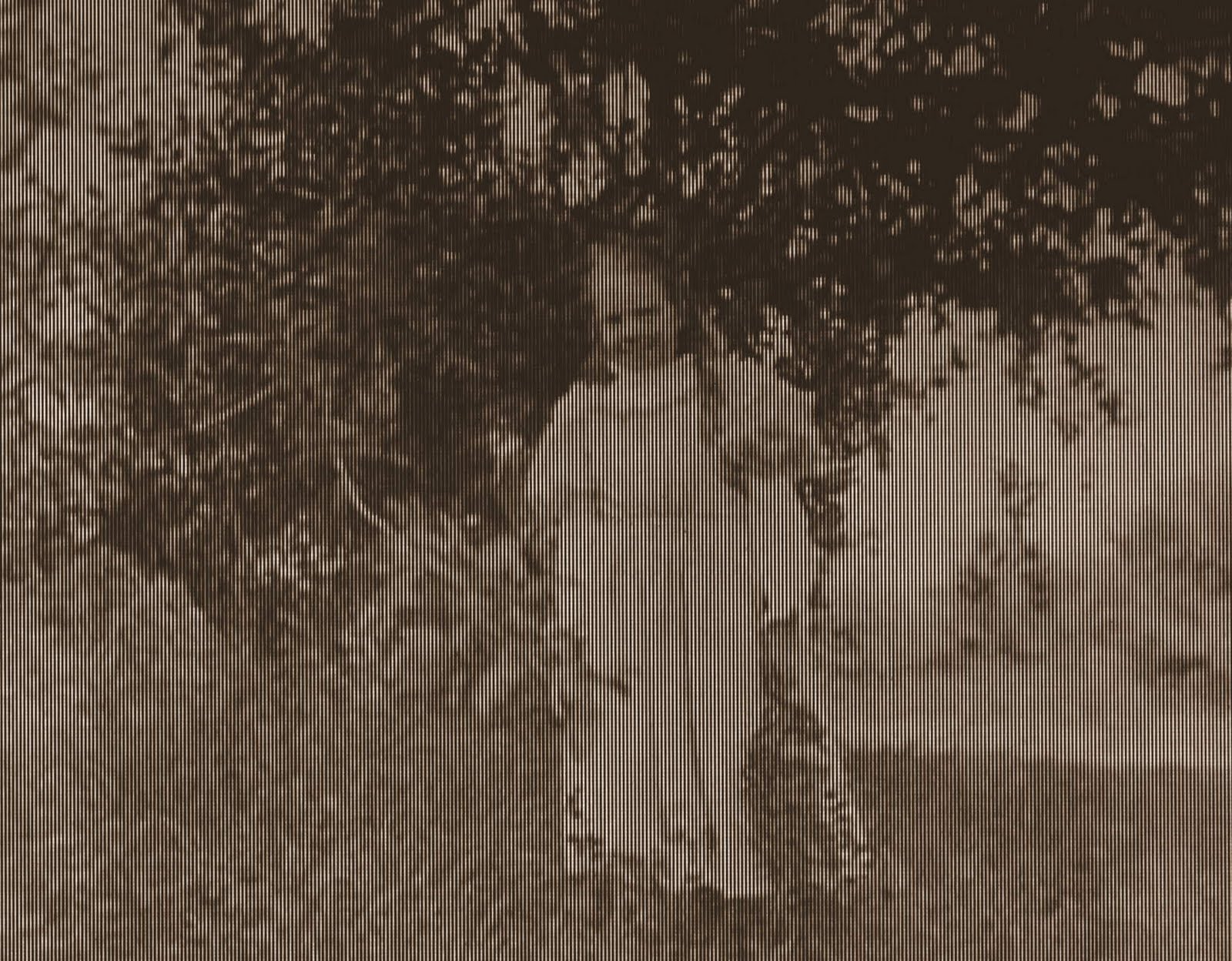 Titcomb Family History