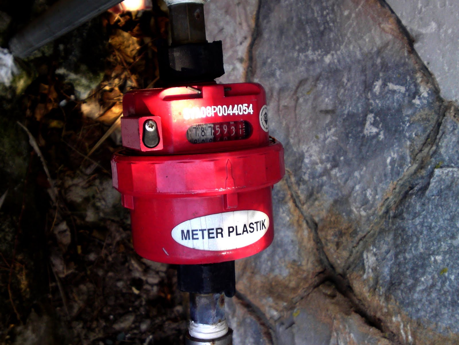 The Sinners Almanac: The Malaysian Flag, the Plastic Water Meter and ...