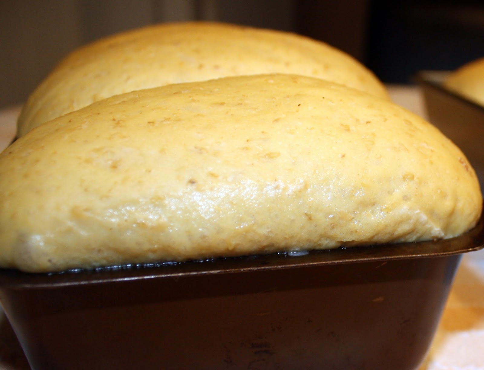 My Dark Cove Pantry: "Royal George" Brown Bread