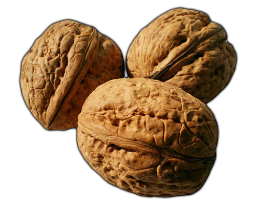 ® Colección de Gifs ®: NUEZ - WALNUTS