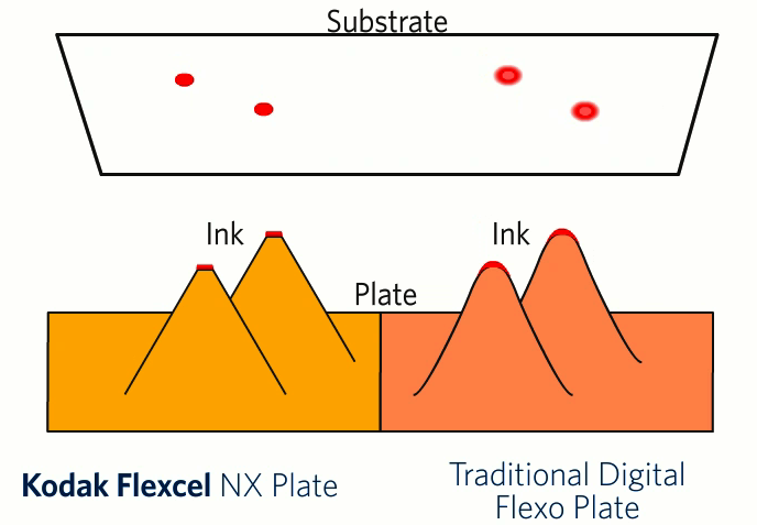 Sallenave: Sistema de copiado de fotopolimeros Kodak Flexcel nx