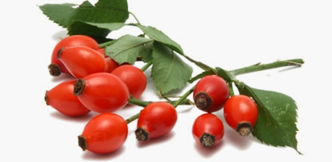 kibuvitsa korjatud õielehed kuivatud ja teeks tehtud väga hea köharohi