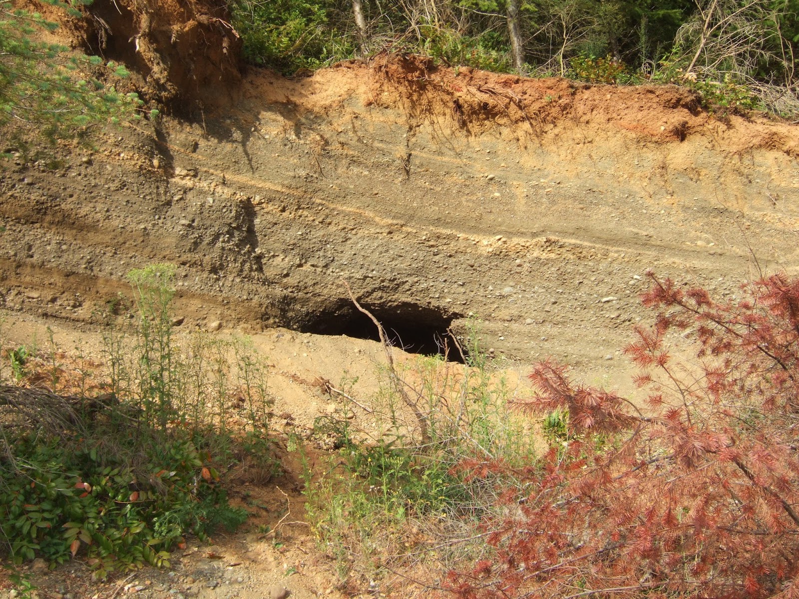 Reading the Washington Landscape: Cave in Gravel Pit and Iron/Manganese ...
