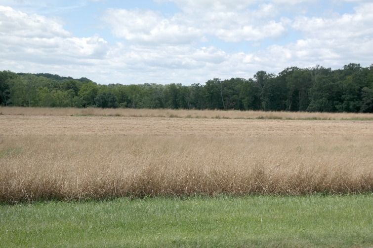 Pennsylvania & Beyond Travel Blog: Touring the Civil War Monuments on ...