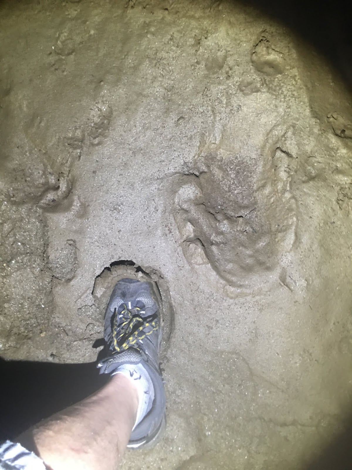 Rondinones' Adventures: Abandoned Mines of NH - Mud Mine