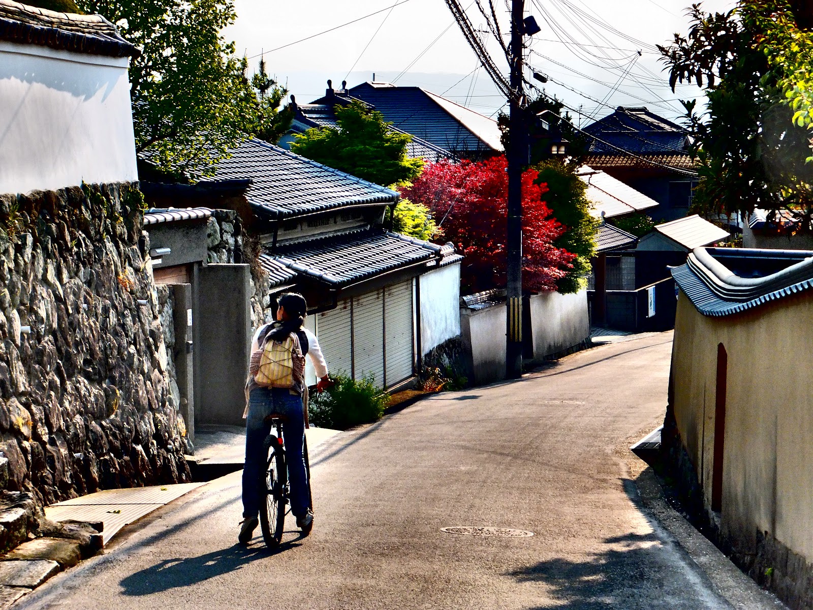 Kinki Cycle: Taikichi Irie Museum Of Photography