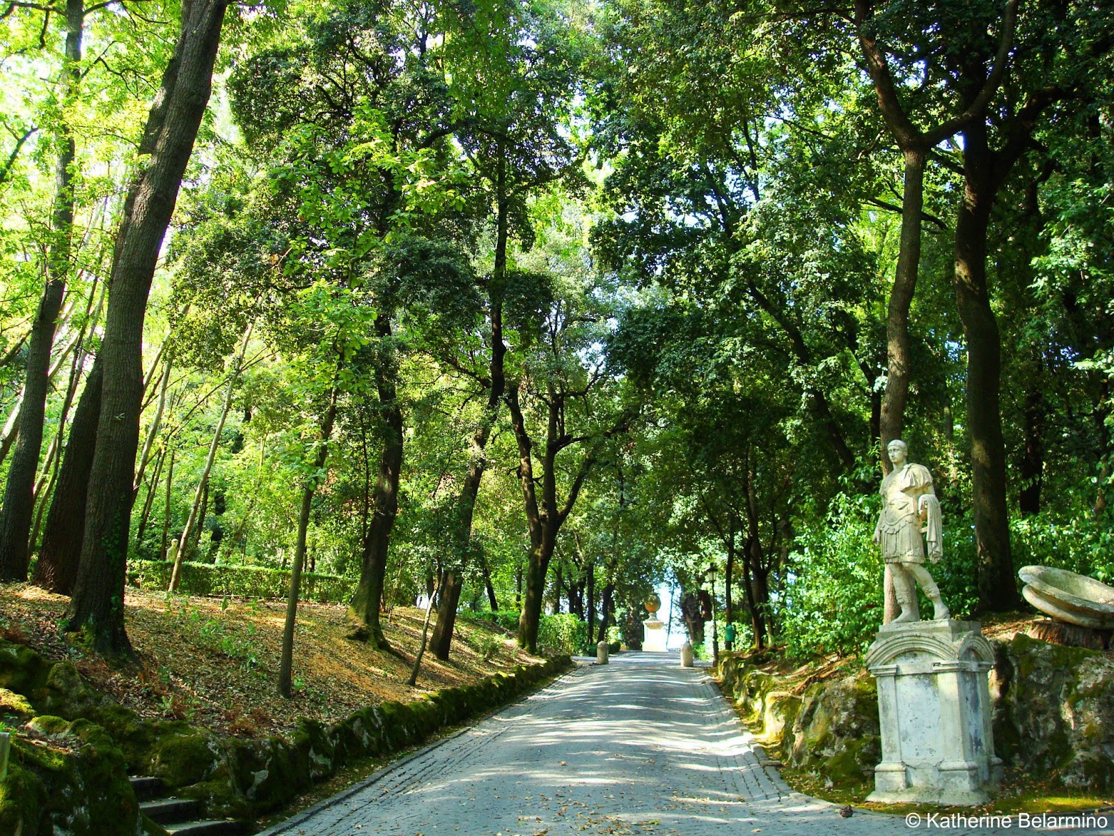 Vatican Gardens, Walking in the Footsteps of the Popes | Travel the World