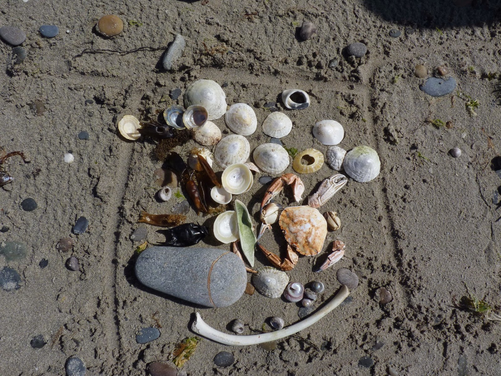 Islay Welly Walks: Beachcombing at Sanaigmore