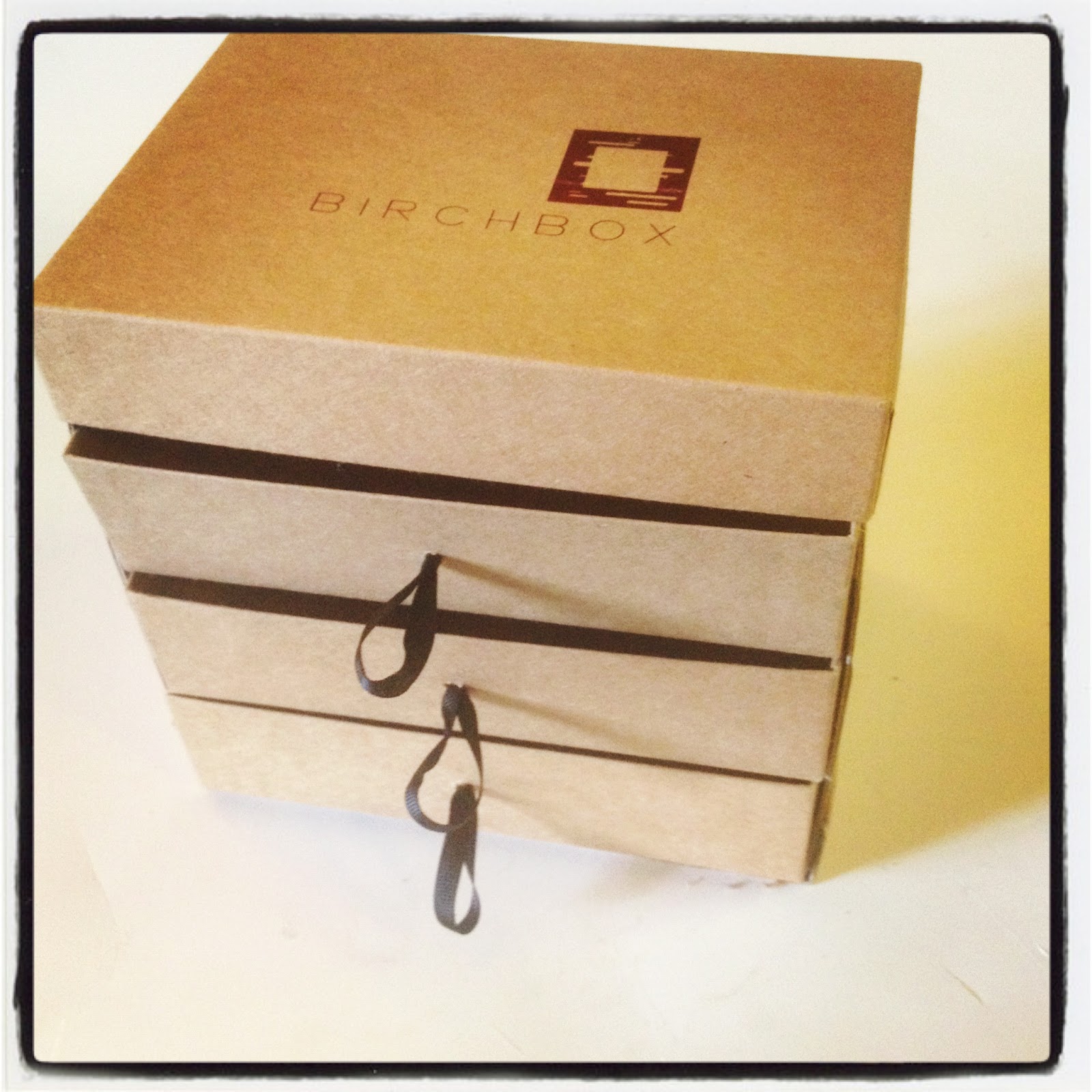 Smart n Snazzy: DIY ~ Upcycled Birchbox Makeup Box