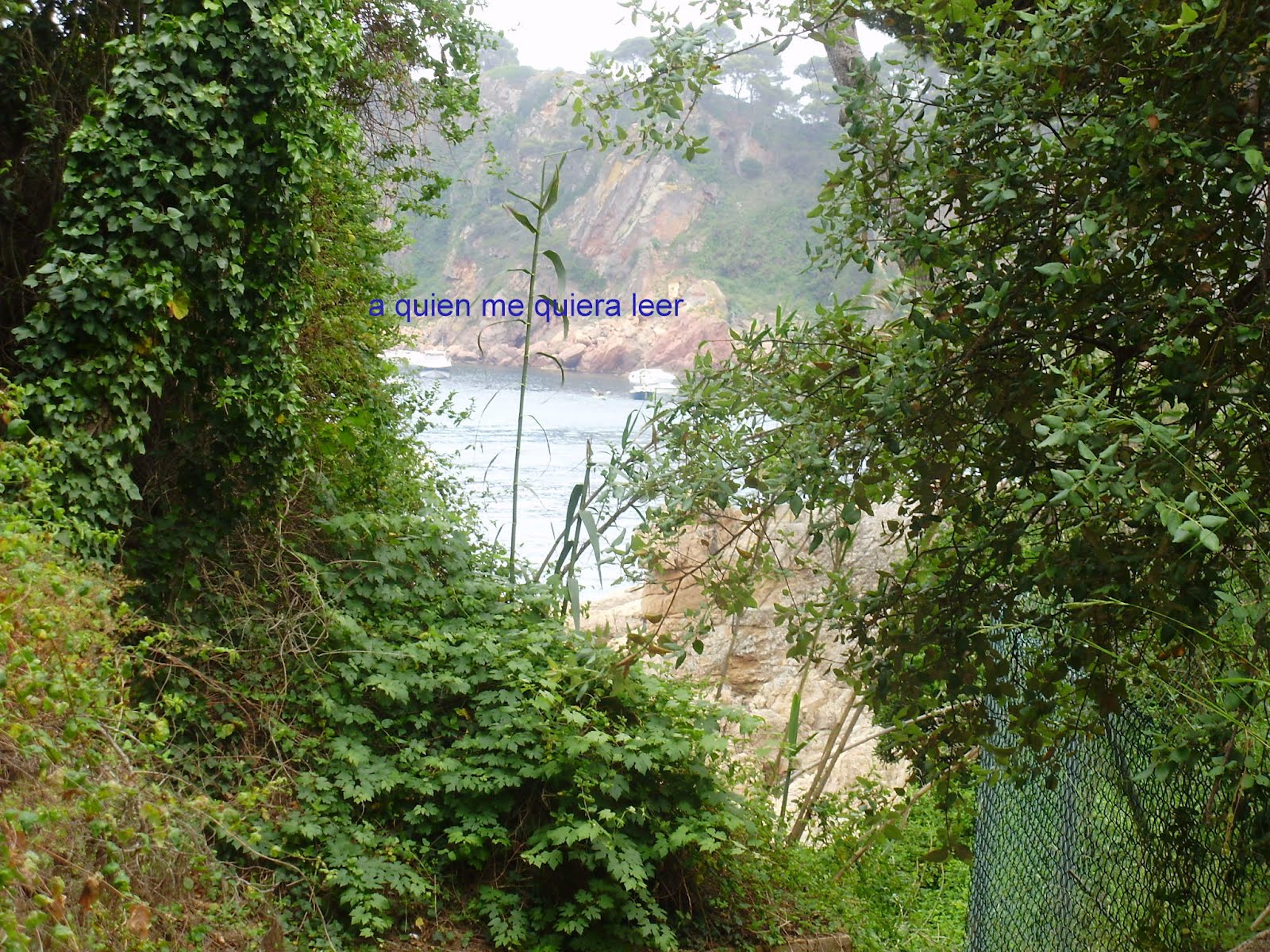 A quien me quiera leer: Hijo de gato caza ratón! o lo que es lo mismo ...