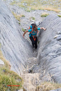 BICHOS Y MAS VLC: ASCENSIÓN MONTE PERDIDO (III): ASCENSIÓN AL MONTE ...