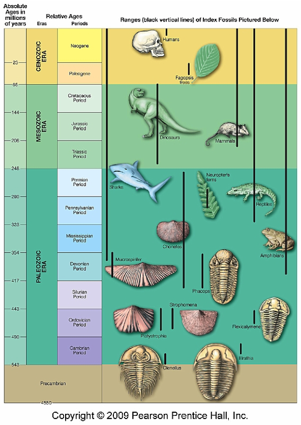 Ms. Mora's Biology Blog: EVOLUTION PART 1: EVIDENCES OF EVOLUTION ...