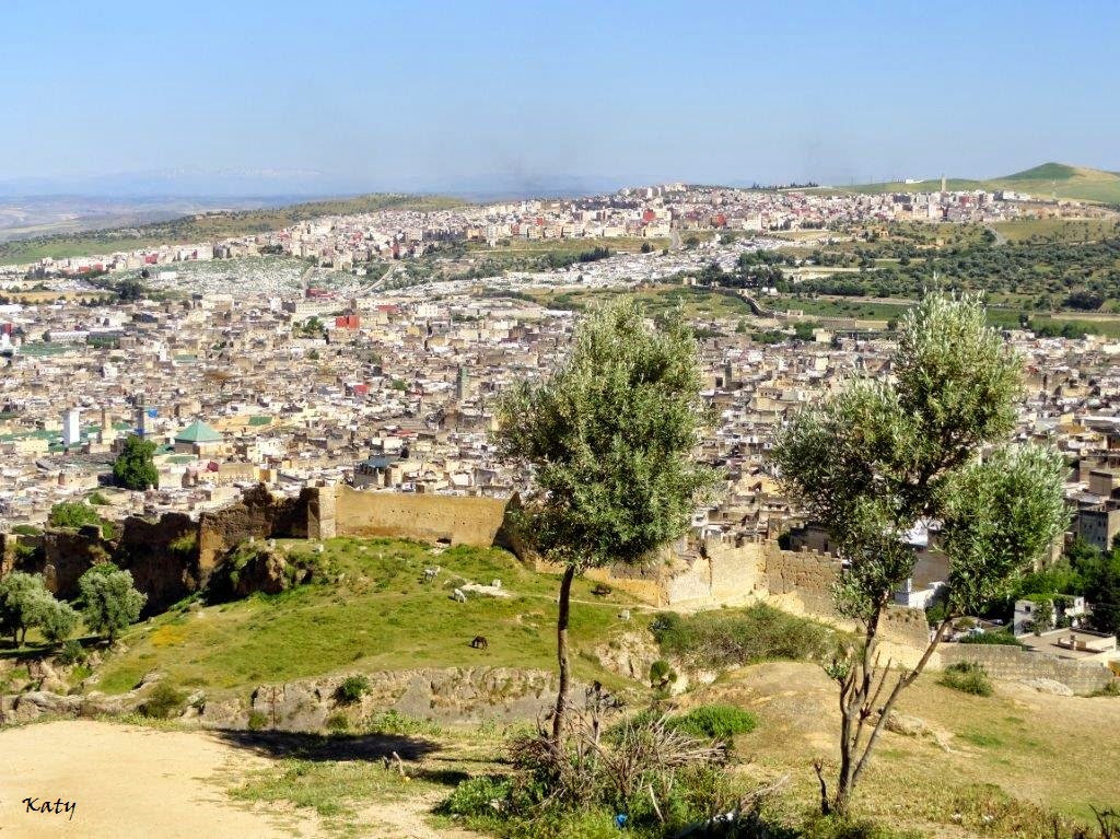 Ciudadana del Mundo: De Midelt a Erfoud