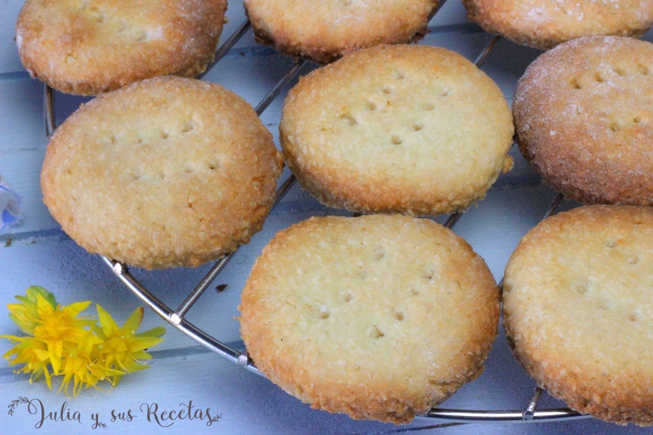 JULIA Y SUS RECETAS: Galletas de coco