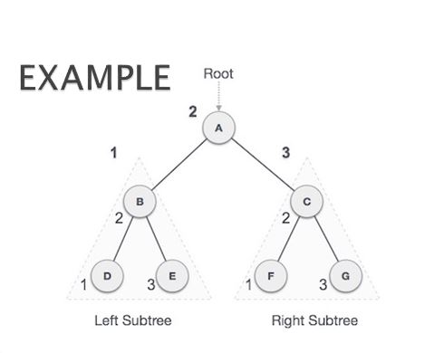 E-Knowledge Point: What is Tree Traversals (Inorder, Preorder and Post ...