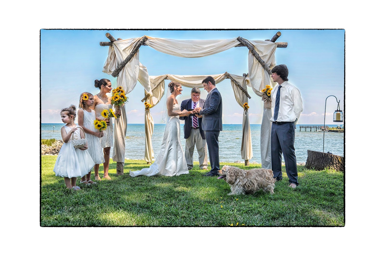 amanda anthony photographs