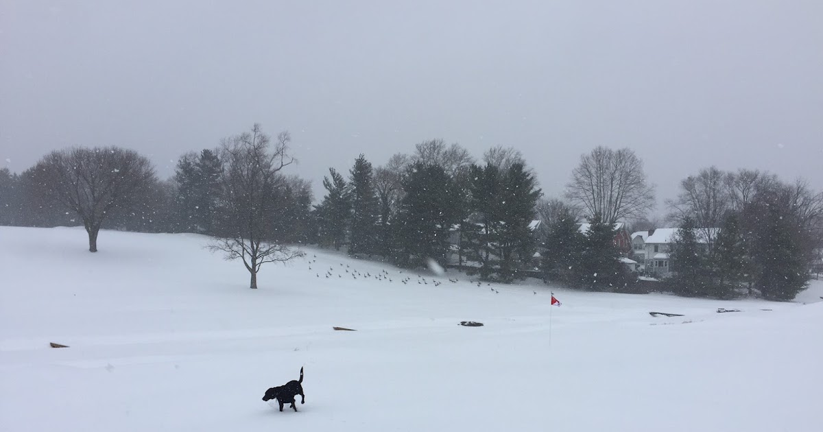 Llanerch Golf Course and External Activities