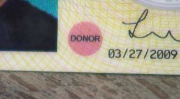Tiny Pink Donor Dot on License is Legal Contract