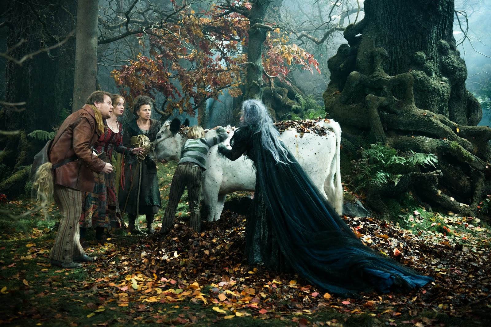 Into the Woods: Moments in the woods...