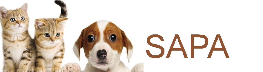 SAPA
