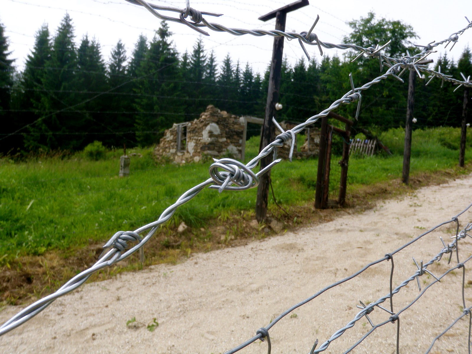 deanna time: IRON CURTAIN