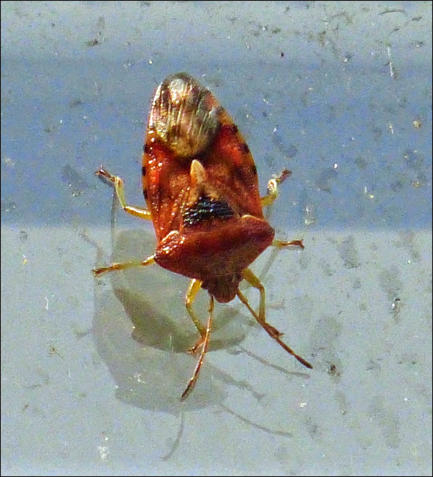 Wild and Wonderful: October 2014