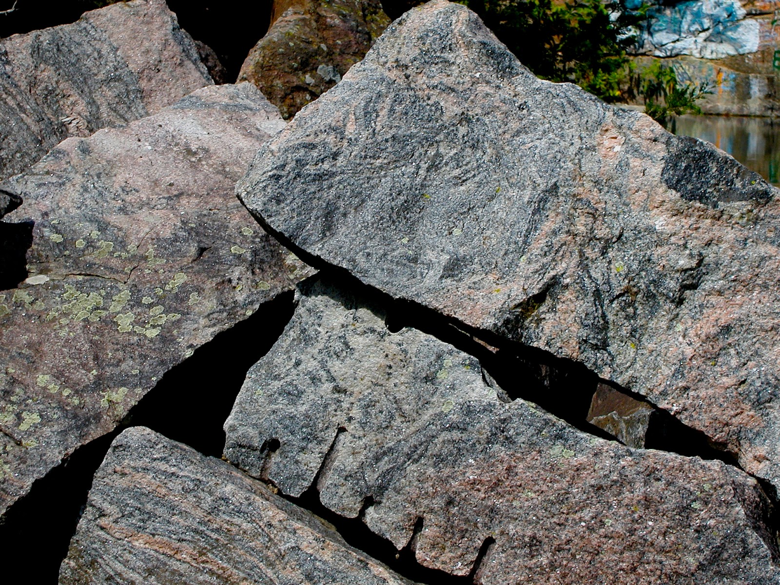 earthscienceguy: Minnesota Geology Monday - Morton Gneiss