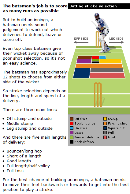 CRICKET MASTER 11: Shot selection