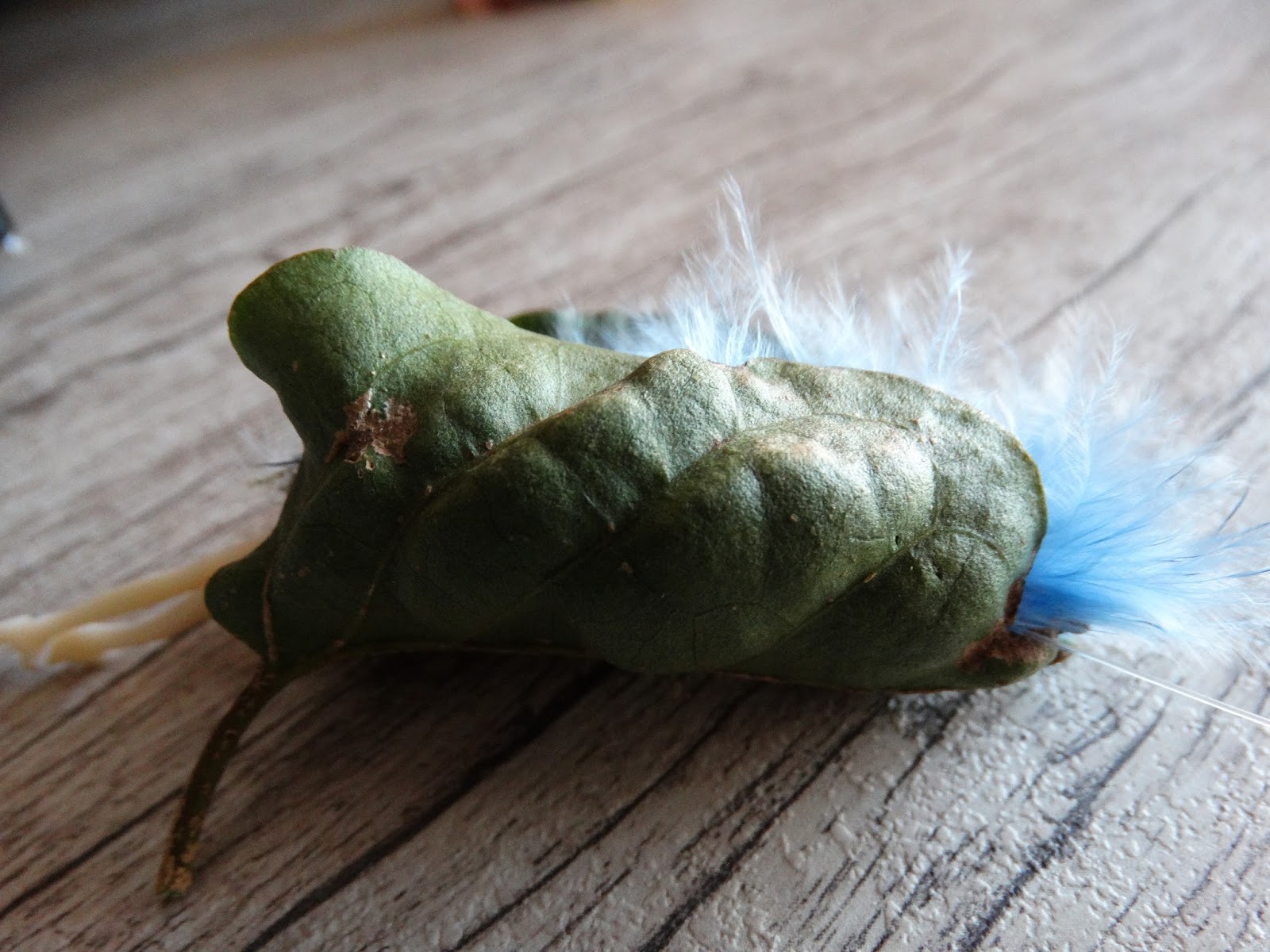 Novelos Nada Exemplares: REAL - Fadas existem!