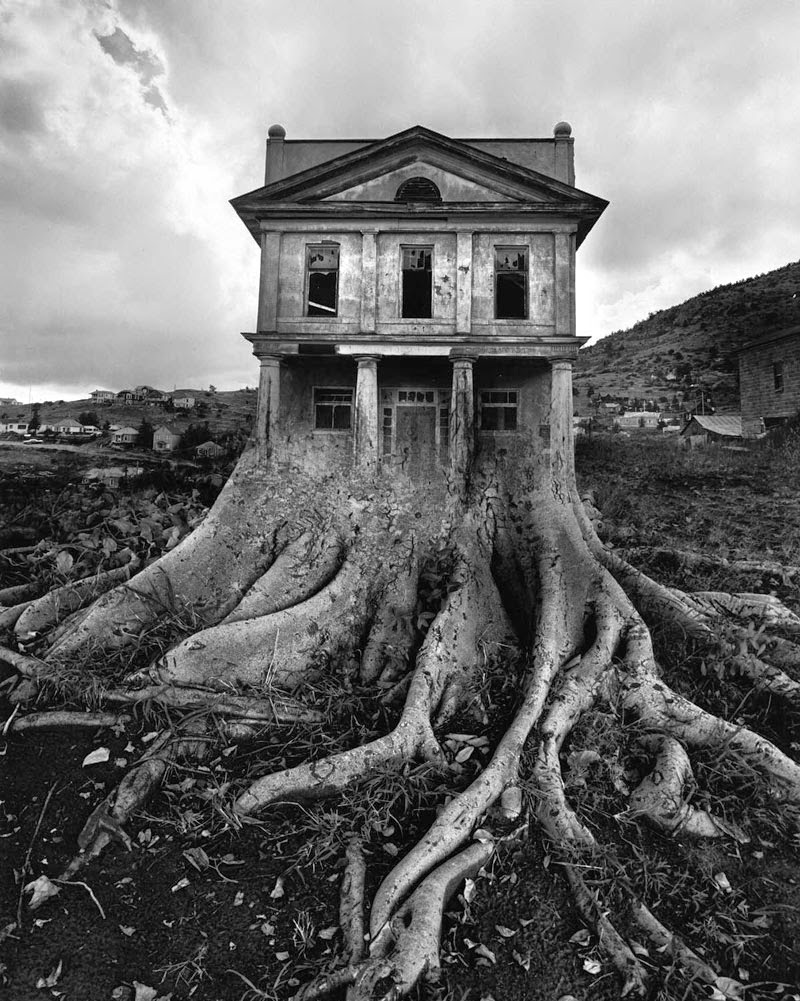 kART à voir: n°149 Untitled (Tree House) (1982)Jerry Uelsmann