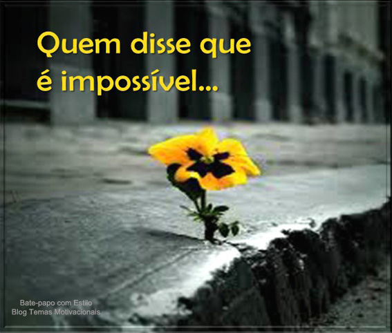 Bate-papo com Estilo: A diferença entre o possível e o impossível está ...