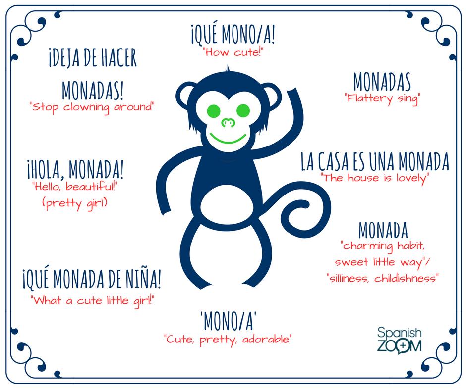 ¡Qué viva el español!: Modismos