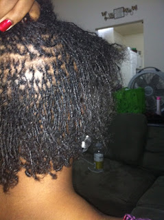 Embarking on The Sisterlocks Journey: My Sisterlocks Installation Process