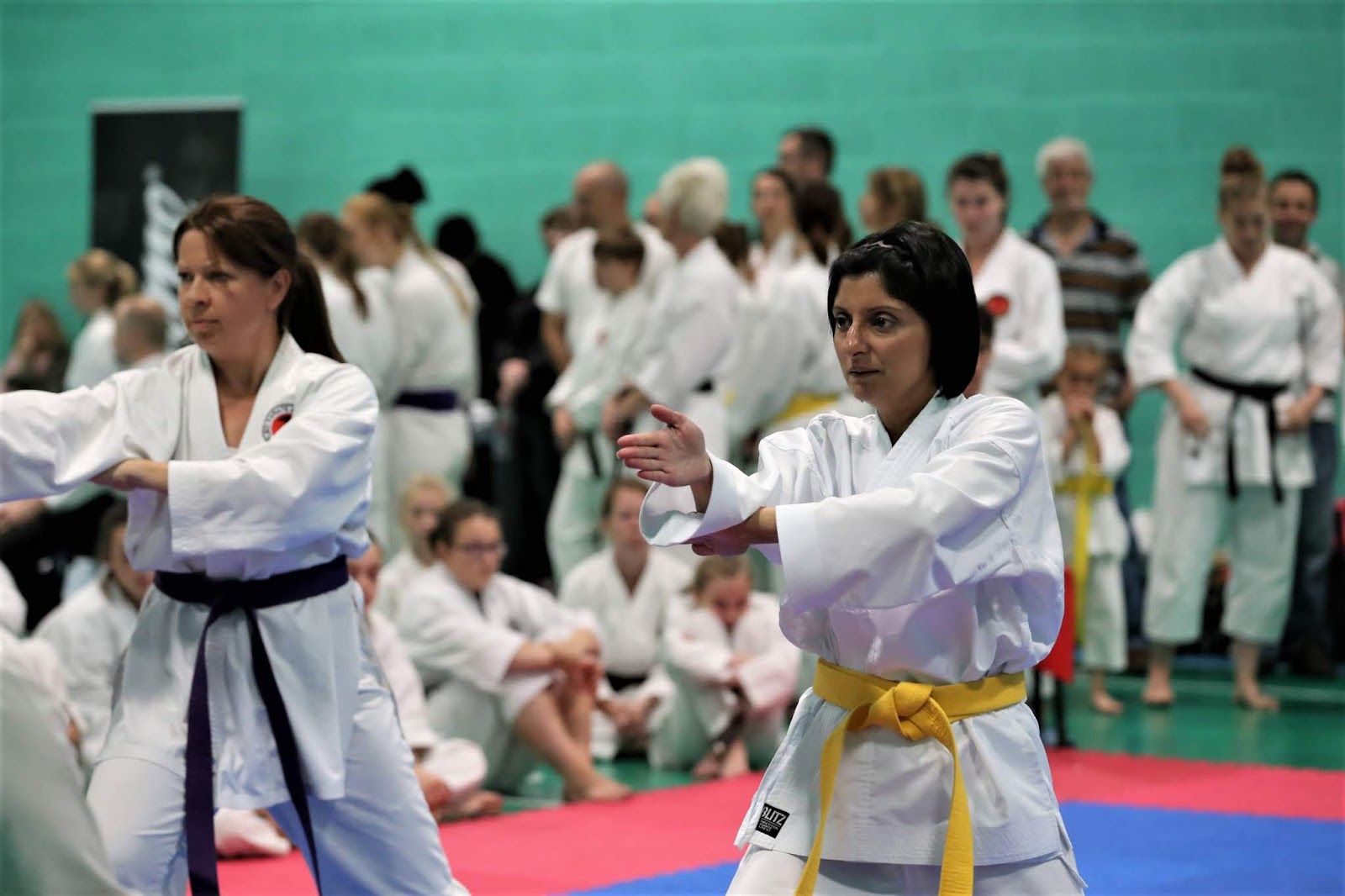 Selby Shotokan Karate Club Members: June 2014