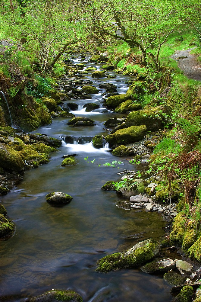 Leading Light: Are you seeing the whole picture? - Day 42