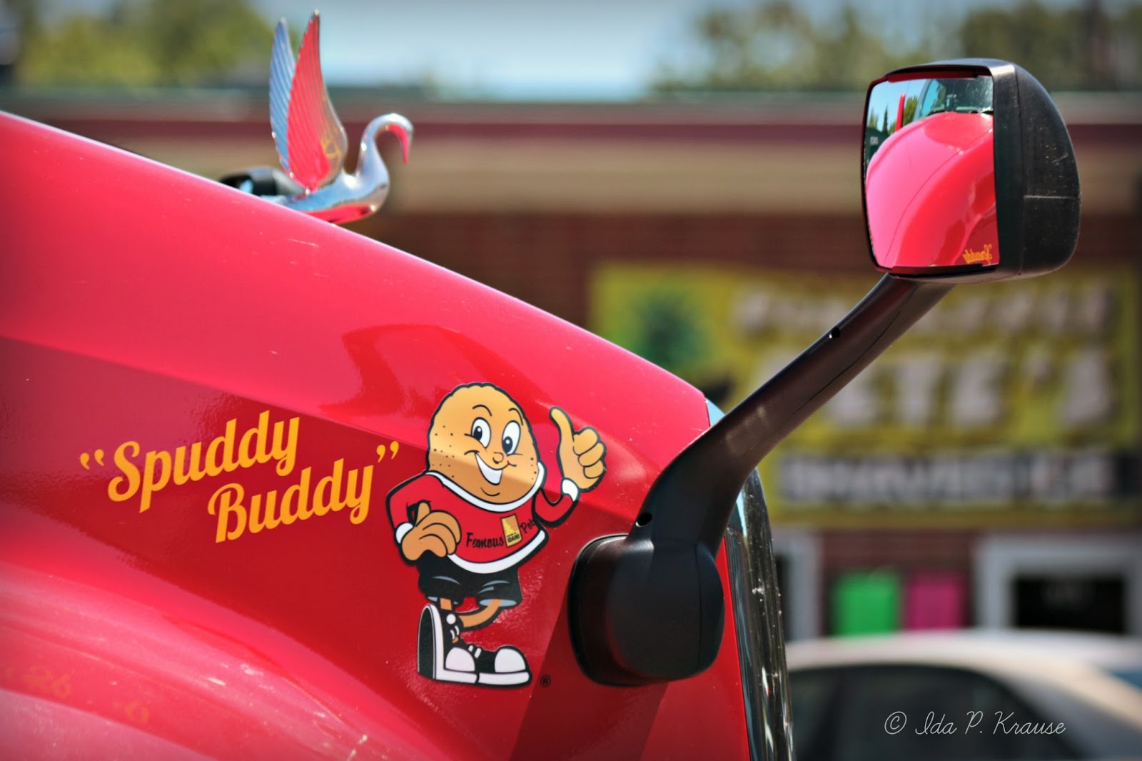 Wishes, Dreams & Other Things: Seasons - That's One Big Spud!