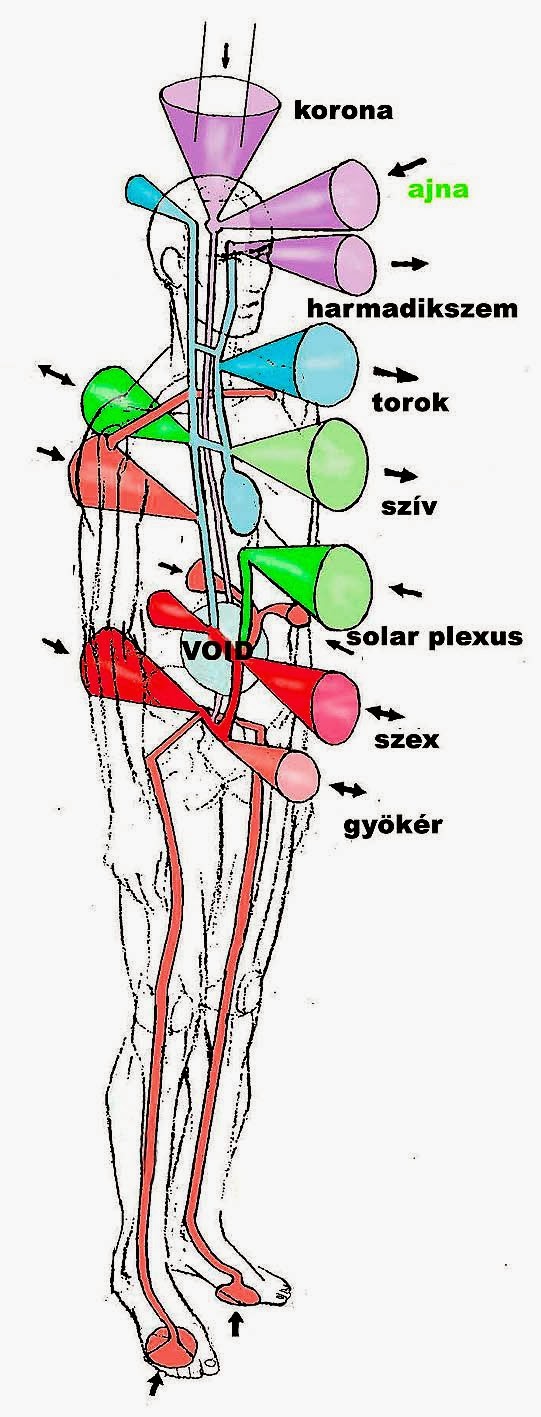 A MAGYAROK TUDÁSA: A kézben - a talpon... benne van az egész ember ...