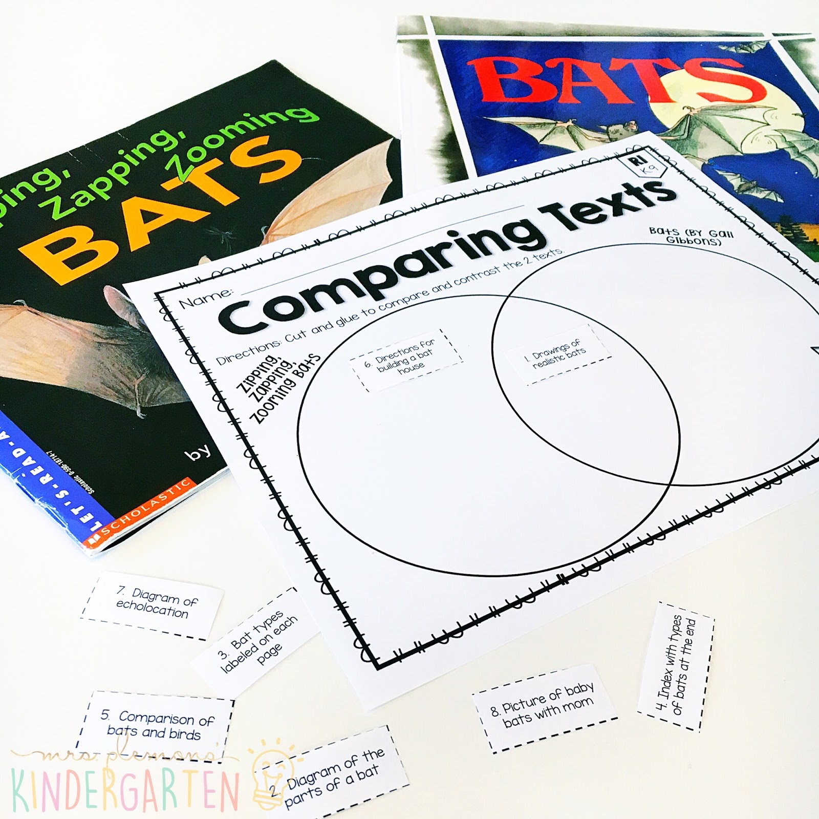 12 Brilliant Bat Books for Kids {with teaching ideas!} - Mrs. Plemons ...