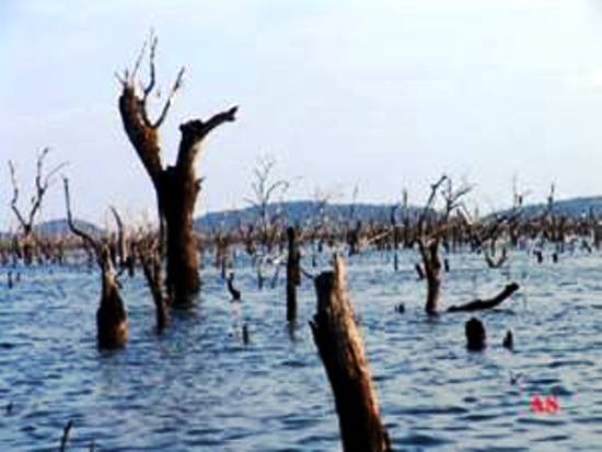 O DESASTRE DA BALBINA - AMAZÔNIA ACONTECE