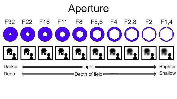 Michael Daniel Ho - The Wildlife Ho-tographer: Understanding The Basics ...