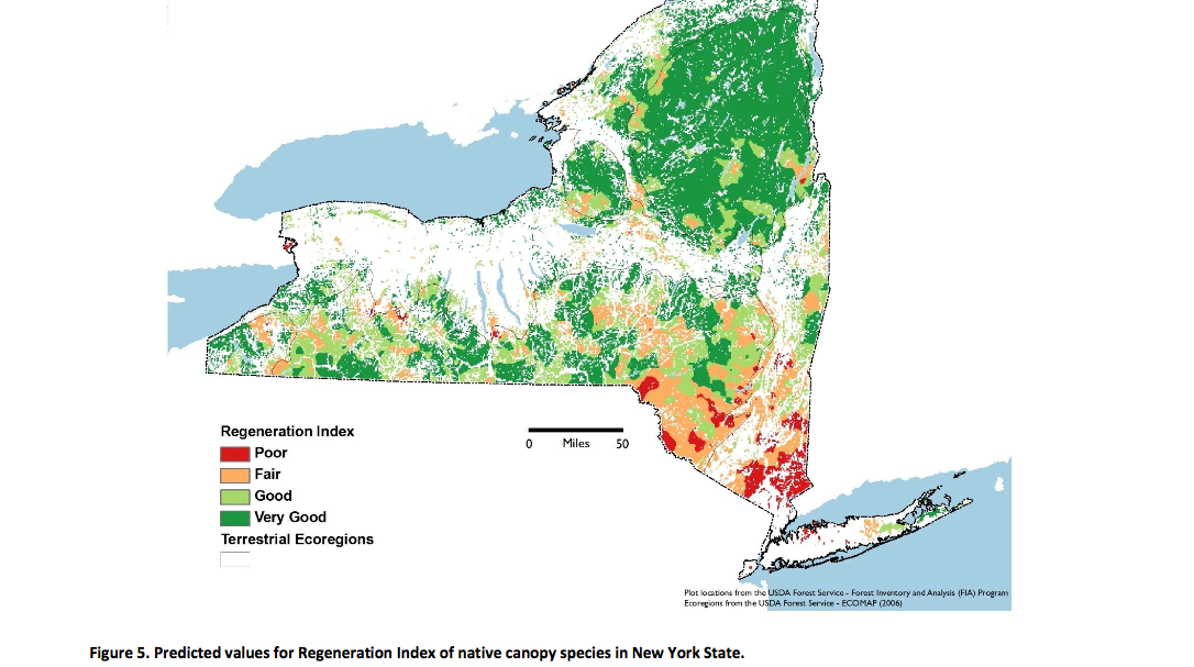 Living Lighter on the Land: May 2012